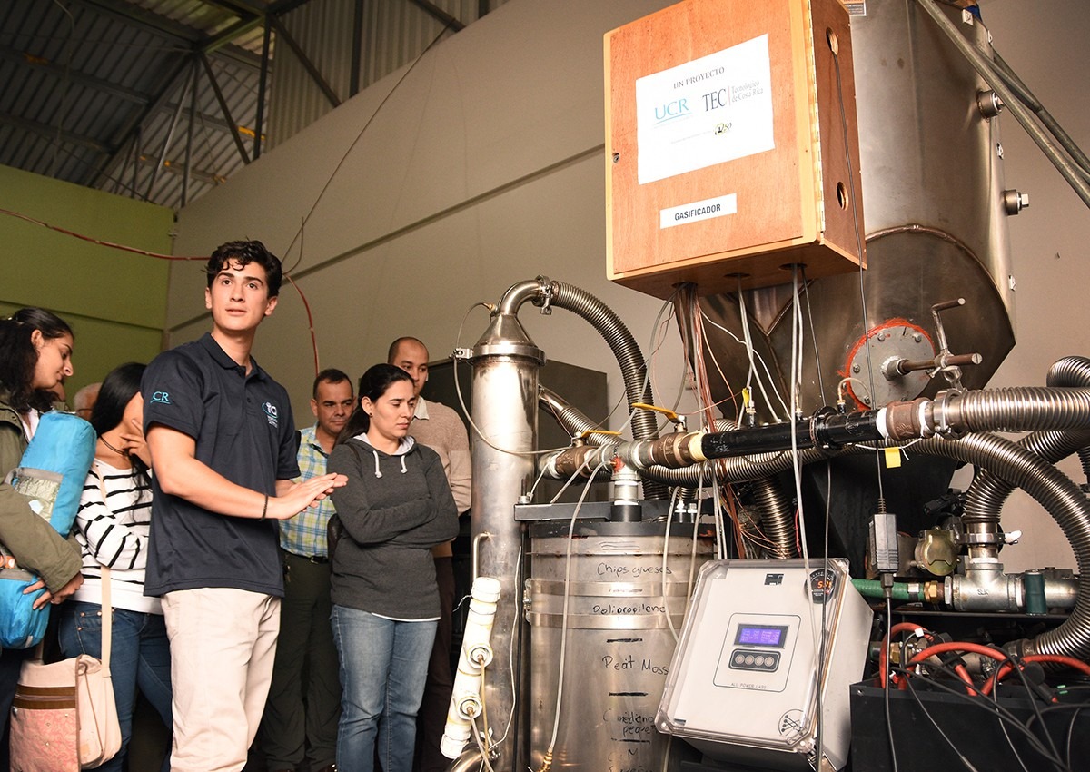 ¿Qué es la dendroenergía? La oportunidad para consolidar una nueva ...