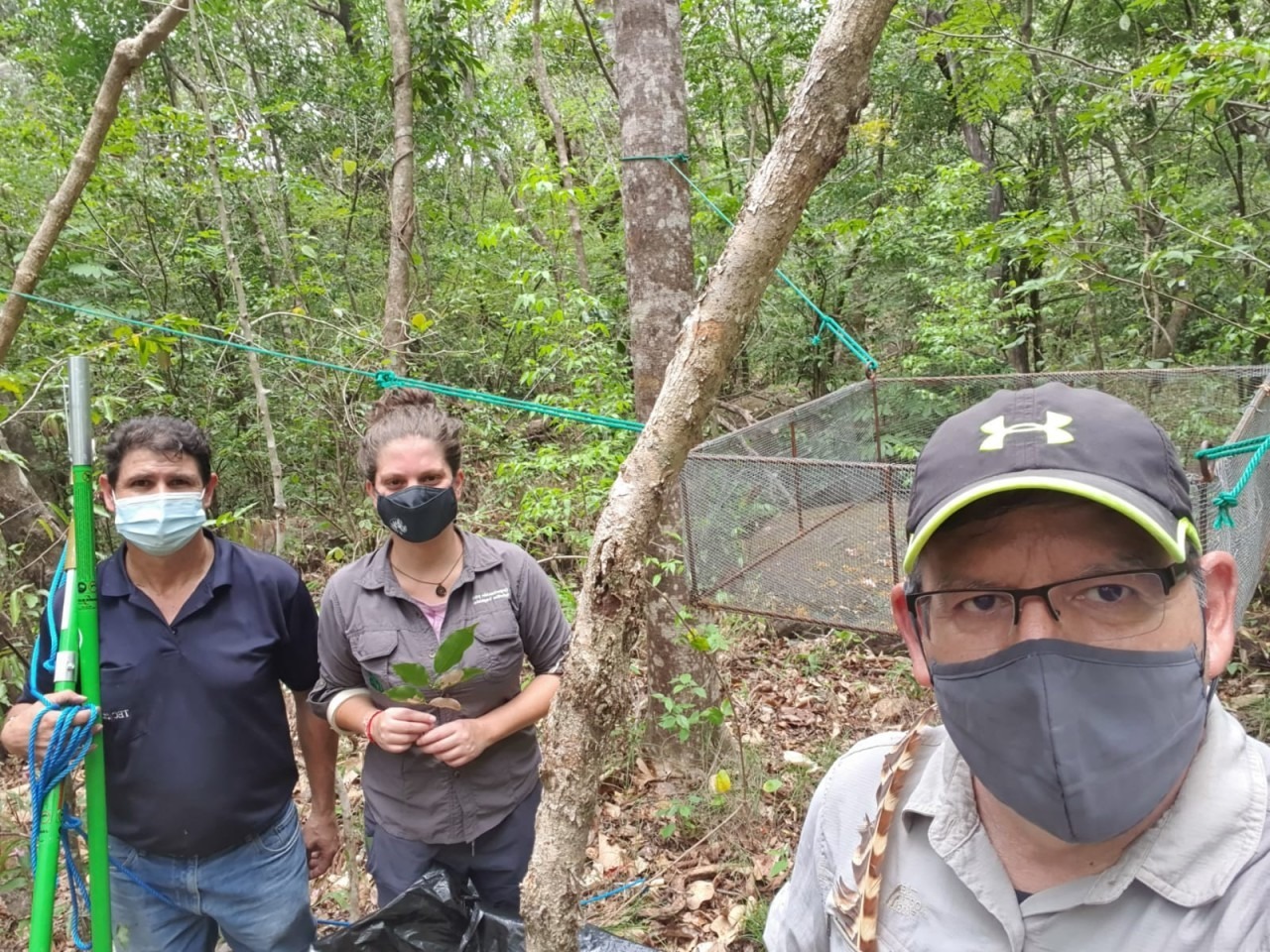 TEC y universidad de Suecia trabajaron en investigación sobre insectos herbívoros del bosque ...