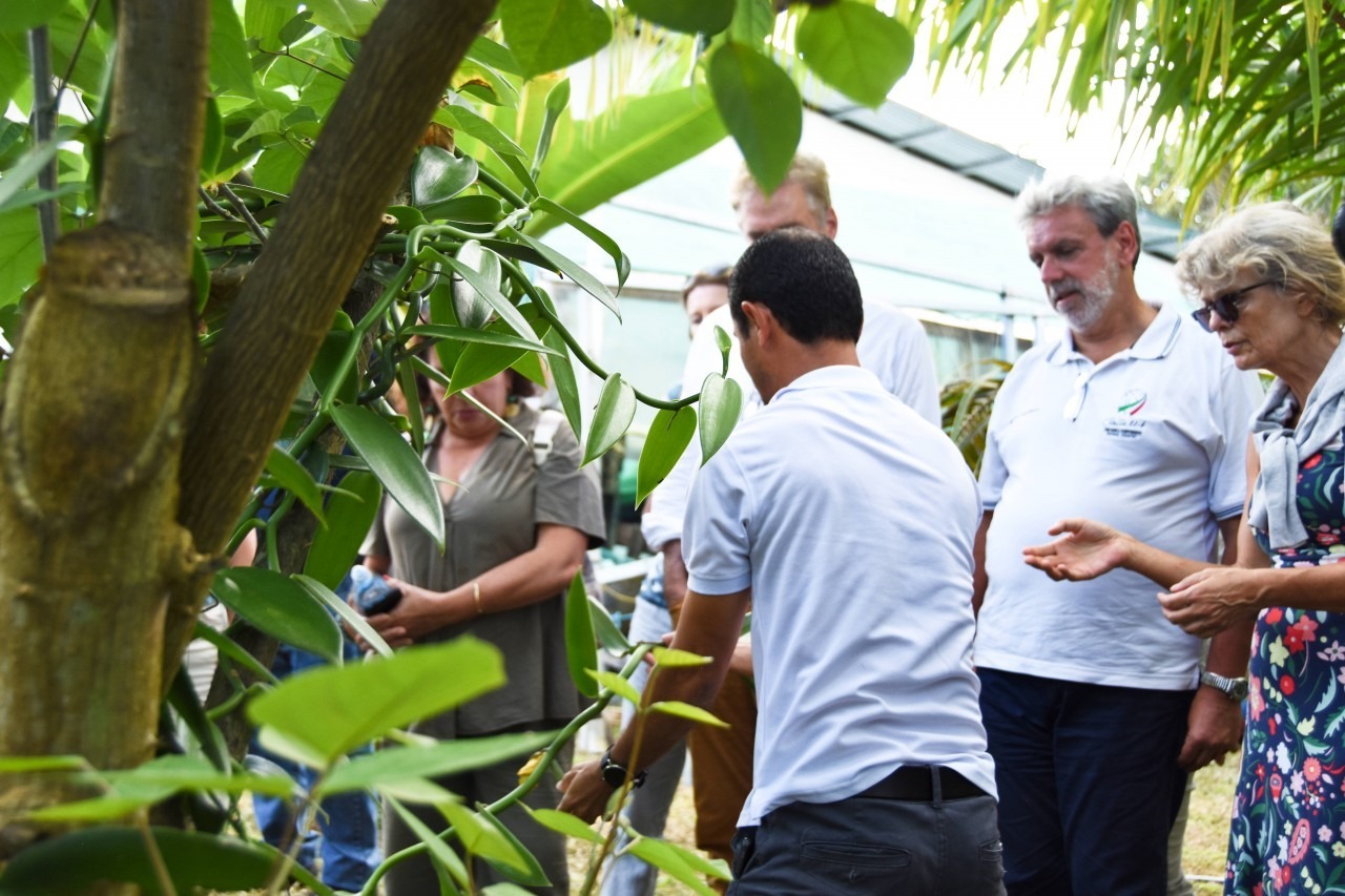 Embajadores europeos visitan proyecto del TEC en Osa | Hoy en el TEC