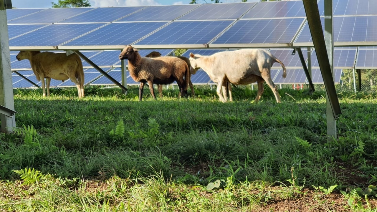 Estudiantes de Electrónica visitan parque solar más grande de Costa ...